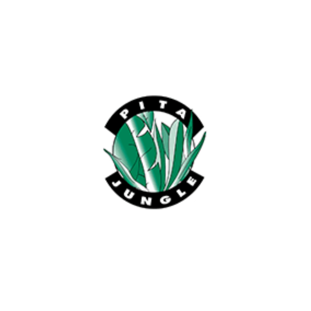 Pita Jungle Logo Ola Węgrzynowska Creative Typography Pita Jungle