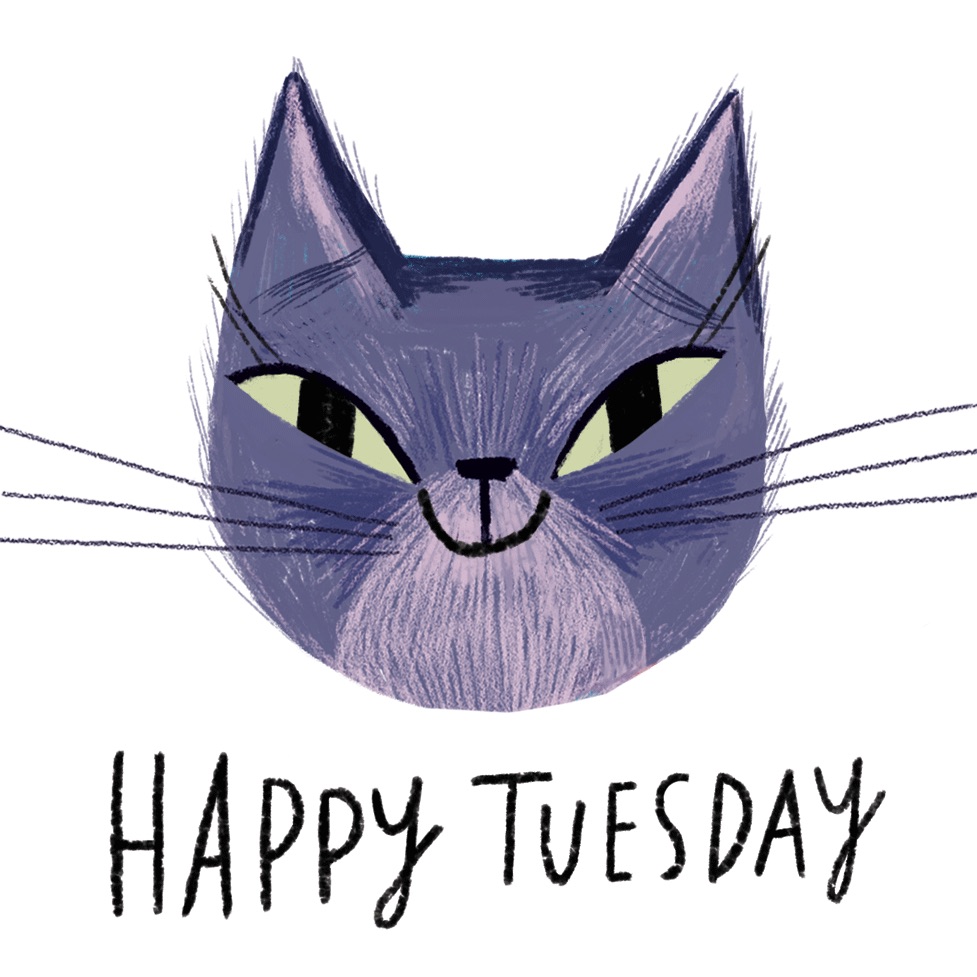 Happy Tuesday Cat
