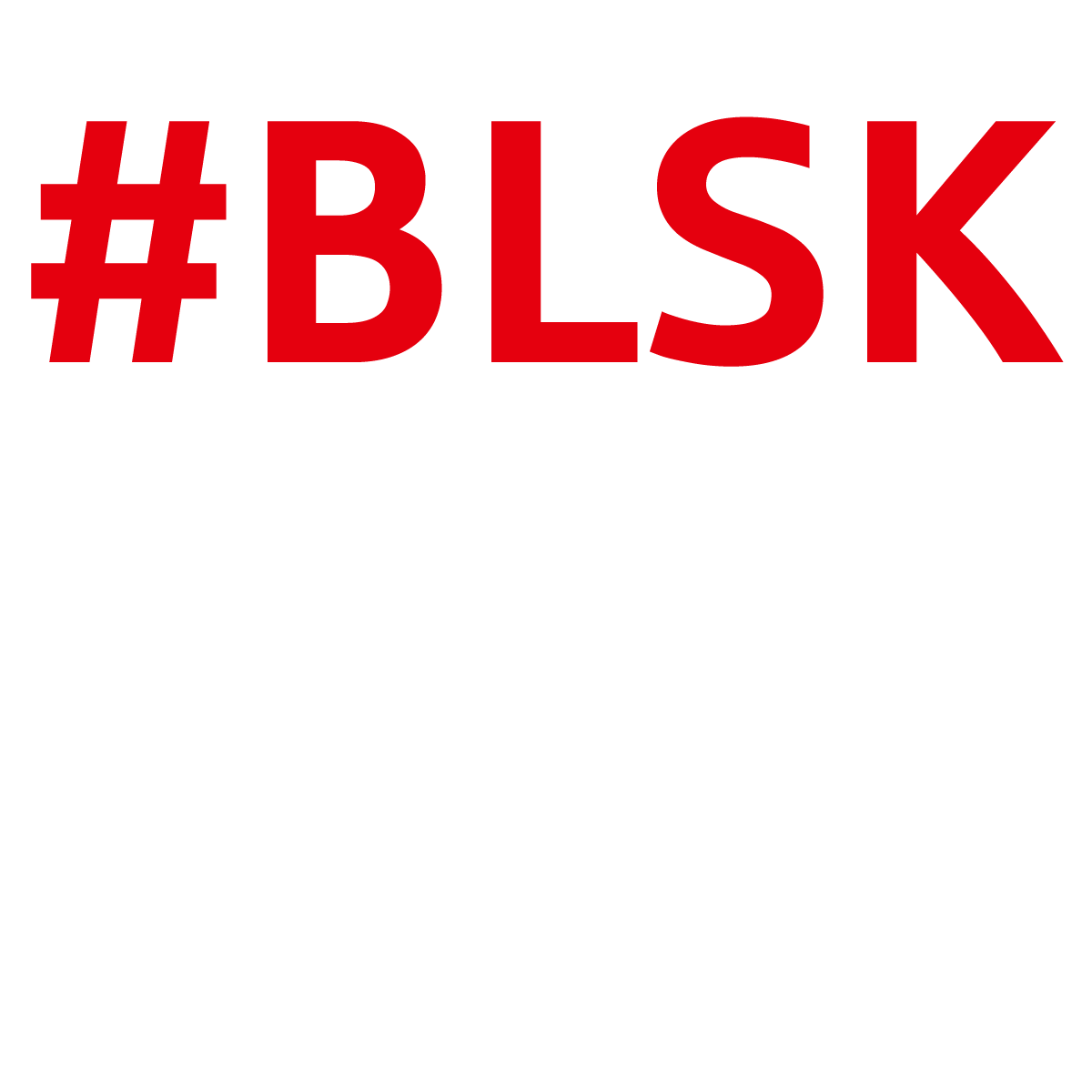 Blsk Logo BLSK – Starter Kit | Neighborhood Watch Signs National
