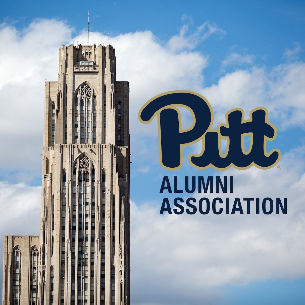 Pitt Alumni Association GIFs - Find & Share on GIPHY