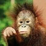 SABAH TOURISM BOARD GIFs on GIPHY - Be Animated