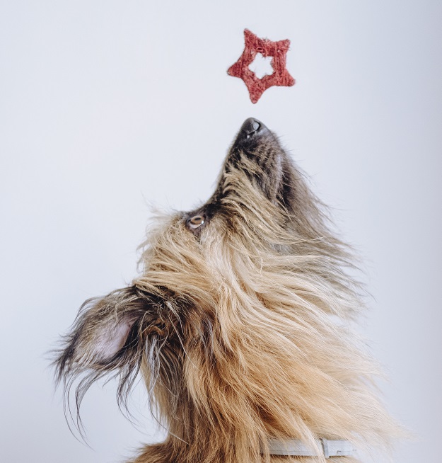 Stickers Norte GIFs on GIPHY - Be Animated