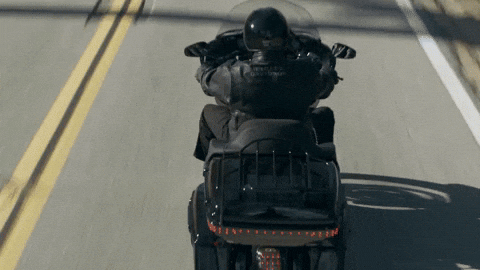 Ride GIF by Harley-Davidson - Find & Share on GIPHY