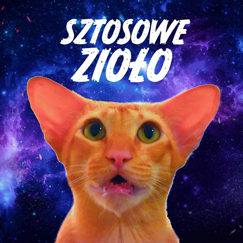 Space Weed GIF by Sztosy.co - Find & Share on GIPHY