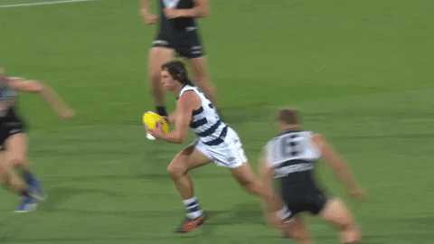 Aussie Rules Football GIF by Port Adelaide FC - Find & Share on GIPHY