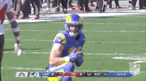 Los Angeles Rams Football GIF by NFL - Find & Share on GIPHY