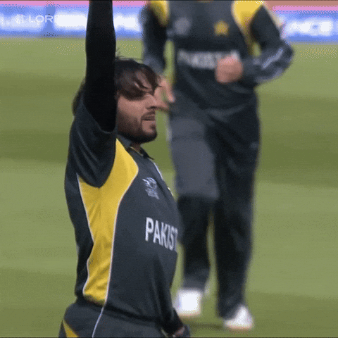 World Cup Boom GIF by Lord's Cricket Ground - Find & Share on GIPHY