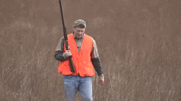 Bird Catching GIF - Find & Share on GIPHY