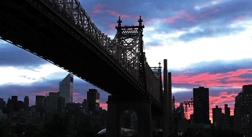 New York Bridge GIFs - Find & Share on GIPHY