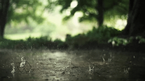 1997 best Slow Motion images on Pholder | Interestingasfuck ...