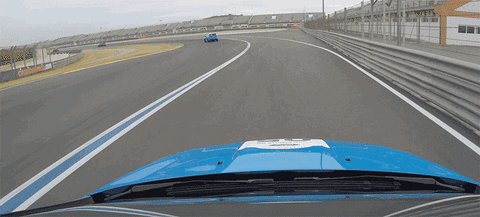 Focus GIF - Find & Share on GIPHY