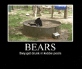 Drunk Bears GIF by Cheezburger - Find & Share on GIPHY
