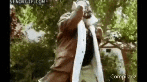 Pocket GIF - Find & Share on GIPHY