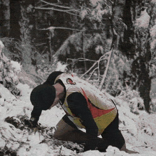 Crawling GIFs - Find & Share on GIPHY