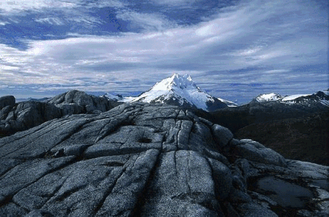 Monte GIF - Find & Share on GIPHY