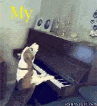 Blues GIF - Find & Share on GIPHY