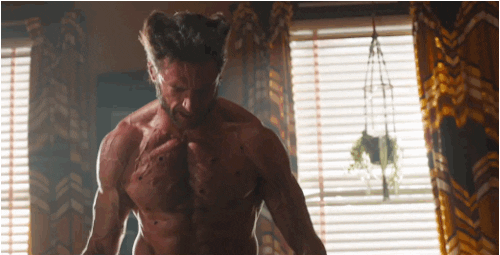 X-Men Origins Wolverine GIF - Find & Share on GIPHY
