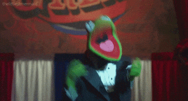 The Muppets Needs More Gonzo Though GIF - Find & Share on GIPHY