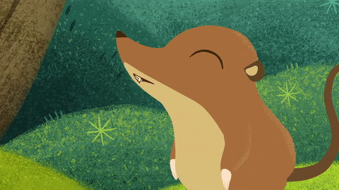 #Puffinrock #Puffin #Rock #Mossy #Pygmy #Shrew #Food #Hungry GIF by ...