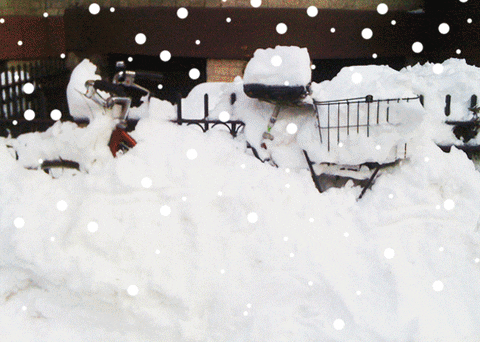 Winter GIF - Find & Share on GIPHY