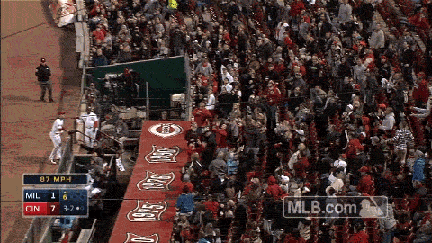 Fans GIF - Find & Share on GIPHY
