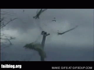 Explode GIF - Find & Share on GIPHY