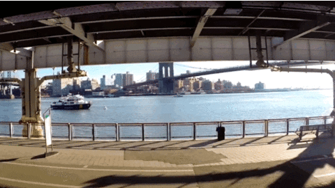 New York GIF - Find & Share on GIPHY