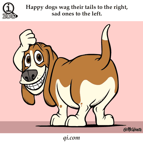Fun Facts GIF Find Share On GIPHY fun-facts-gif-find-share-on-giphy