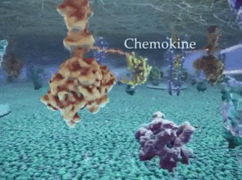 Membrane GIFs - Get the best GIF on GIPHY