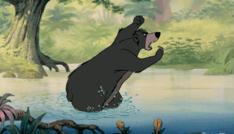 Memes Del Oso Baloo