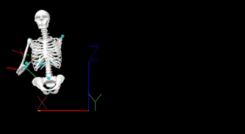 Humans GIF - Find & Share on GIPHY