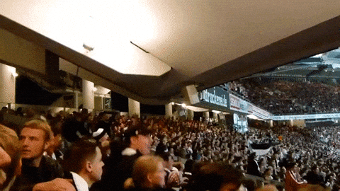 Football Fans GIF - Find & Share on GIPHY