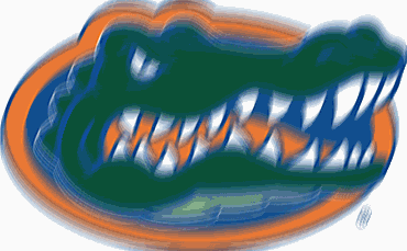Florida Gators Football Images GIF - Find & Share on GIPHY