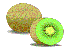 Kiwi GIF - Find & Share on GIPHY