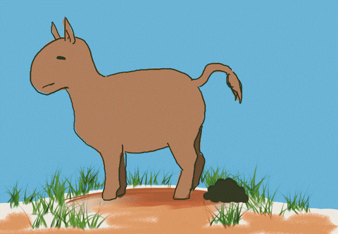 Poo GIF - Find & Share on GIPHY