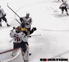 Hockey Fight GIFs - Get the best GIF on GIPHY