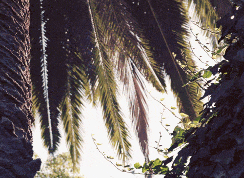 Processing Pixel Sorting GIF by Adam Ferriss - Find & Share on GIPHY