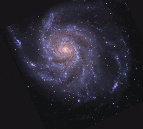 Universe GIF - Find & Share on GIPHY