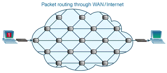 Packnetwork GIF - Find & Share on GIPHY