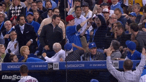 Baseball Fan GIF - Find & Share on GIPHY