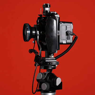 Camera GIF - Find & Share on GIPHY