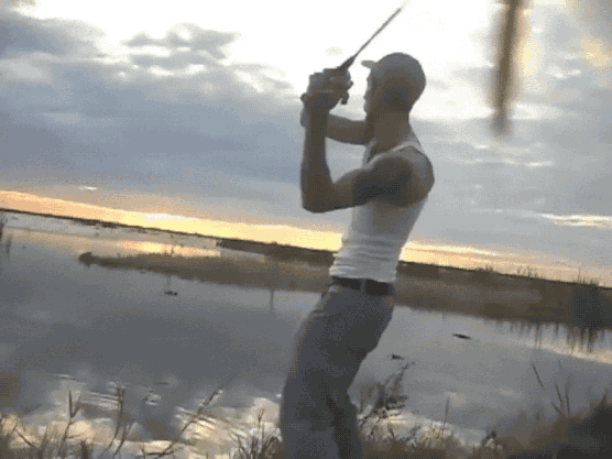 Fishing GIF - Find & Share on GIPHY