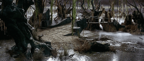 Album Bog GIF - Find & Share on GIPHY