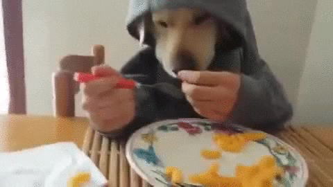 Hungry GIF - Find & Share on GIPHY