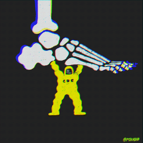 Red Cross Artists On Tumblr GIF by Animation Domination High-Def - Find ...