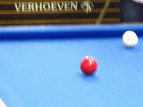 Pool GIFs - Find & Share on GIPHY