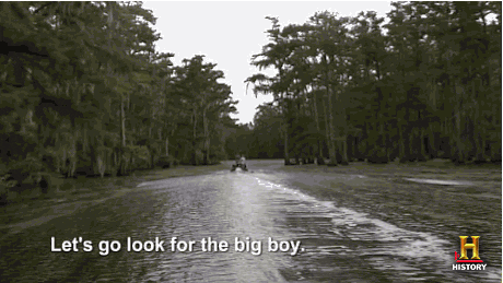 Good Bye History GIF by Swamp People - Find & Share on GIPHY