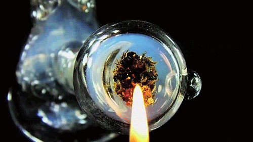 Bong GIF - Find & Share on GIPHY