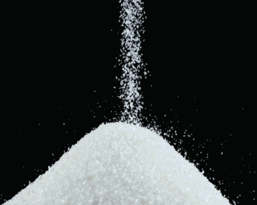 Sal GIF - Find & Share on GIPHY