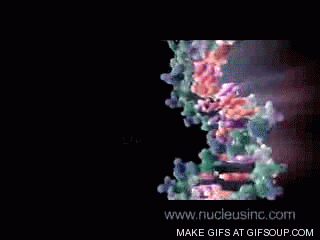 Dna GIF - Find & Share on GIPHY
